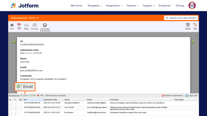 How to Export Form Data to Excel