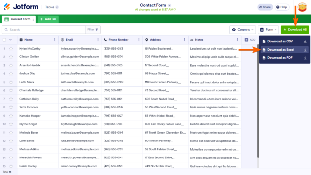How to Export Your Form Data to Excel