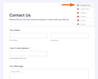 How to Make Your Forms Multilingual