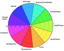 Life audit: Identifying your current level in life and career | The ...