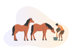 How to Start an Animal Rescue