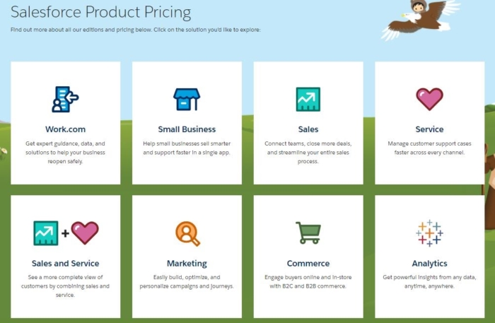 Salesforce Professional vs Enterprise | The Jotform Blog