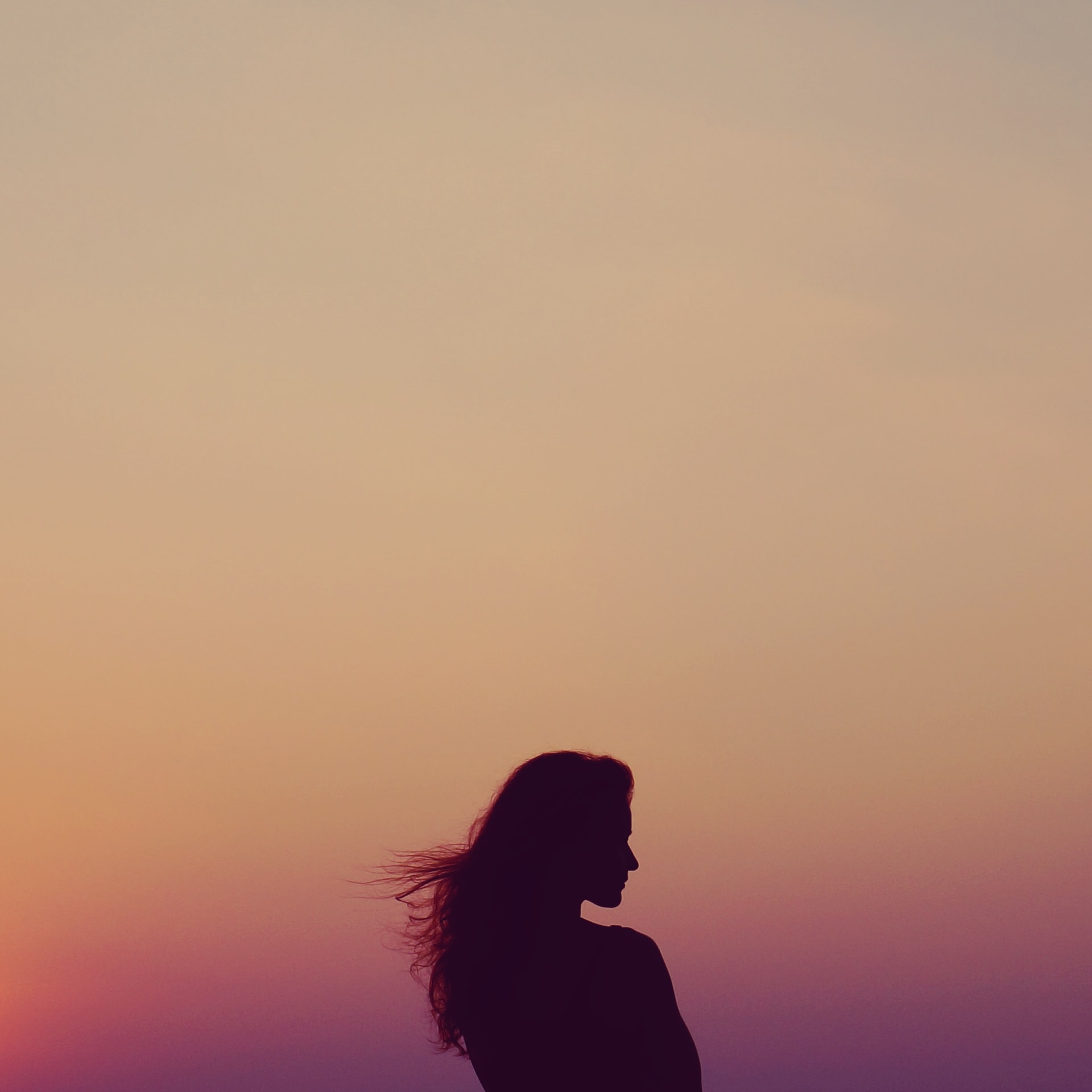 50 High Quality Examples Of Silhouette Photography | The Jotform Blog