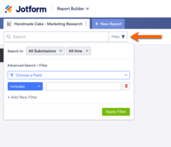 How to Use Visual Report Filters