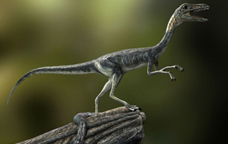 70 Ultimate Cinema 4D Tutorials & Techniques | The Jotform Blog