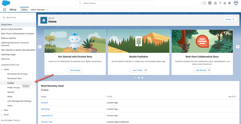 How to Enable API Access in Salesforce