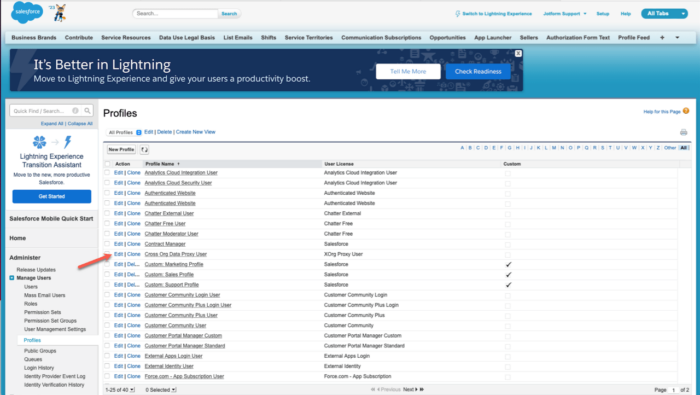 How To Enable Api Access In Salesforce