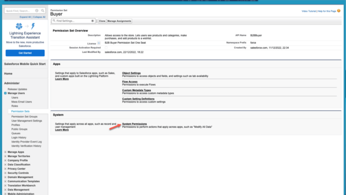 How To Enable Api Access In Salesforce