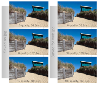 Everything You Need to Know About Image Compression | The Jotform Blog