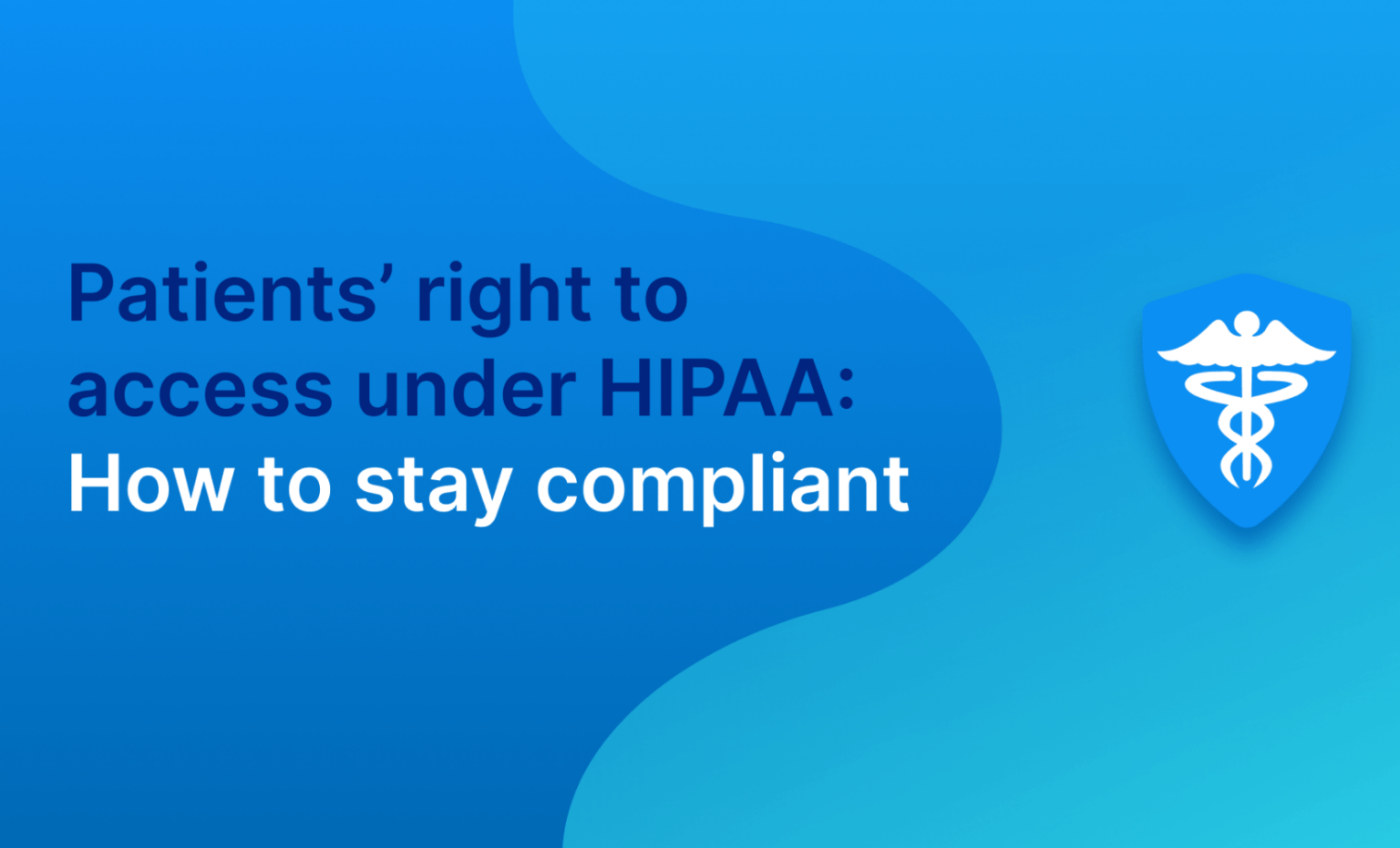 Webinar: Patients’ right to access under HIPAA | The Jotform Blog