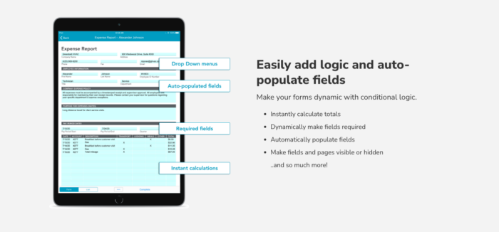 8 GoCanvas alternatives for mobile business management in 2025 | The ...