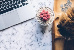 How to add images to multiple-choice questions in Microsoft Forms | The ...