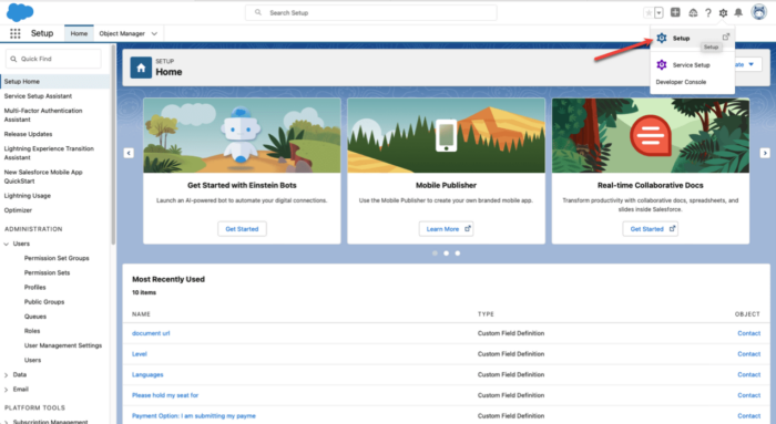 How to Enable API Access in Salesforce