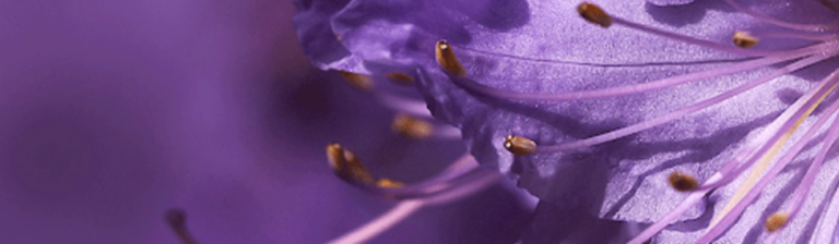 Everything about Google Forms header image size | The Jotform Blog