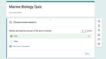 How to make an answer key in Google Forms | The Jotform Blog