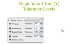 30+ Adobe Illustrator Tutorials : Mastering Your Tools and Options ...