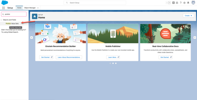 How to create a global picklist in Salesforce | The Jotform Blog