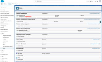 How to solve an Insufficient Privileges error in Salesforce | The ...