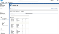 How to solve an Insufficient Privileges error in Salesforce | The ...