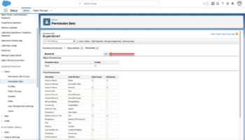 How to solve an Insufficient Privileges error in Salesforce | The ...
