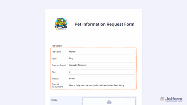 How to Add and Set Up the Multiple Text Fields Widget