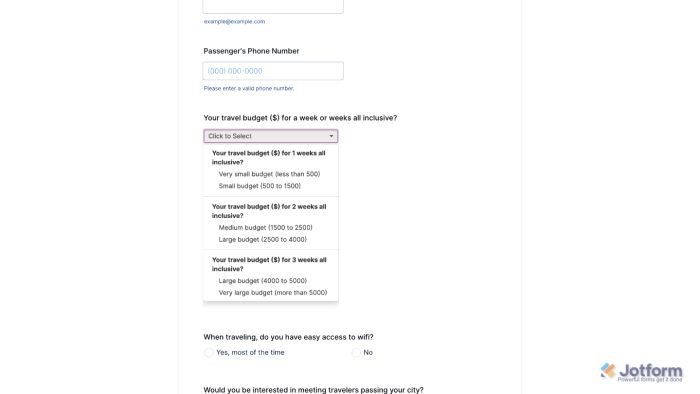 How to Add and Set Up the Grouped Values Dropdown Widget on Your Form